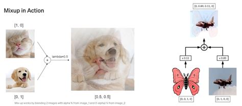 Prerequisite Knowledge For Reading The YOLOv Paper