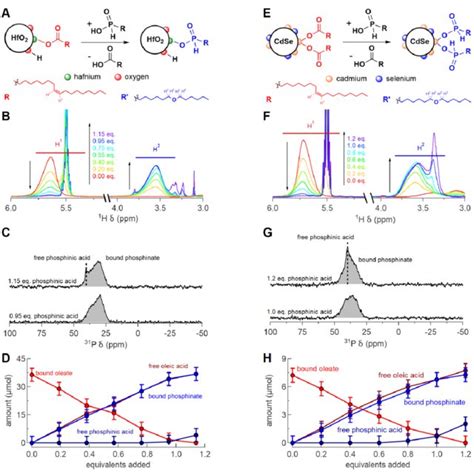 A General Reaction Scheme Towards Monoclinic Hfo2 Oleate Ncs B Tem