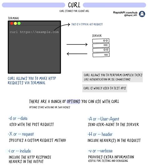 getting started with curl thread 🧵 thread from rapid rapid api