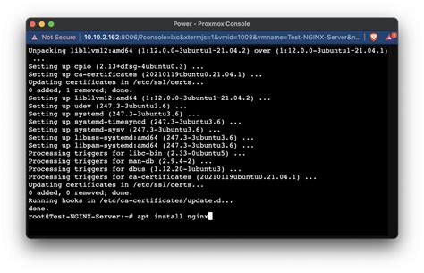 Install Nginx Virtualize Everything