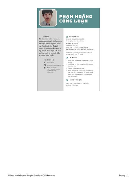 Cv2 Pdf