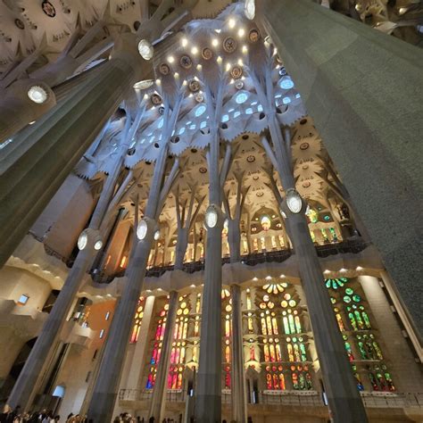 바르셀로나 가우디 건축물 바르셀로나 사그라다 파밀리아 성당 우선 입장권 한국어 오디오가이드 패스트트랙 타워 선택 가능 마이리얼트립