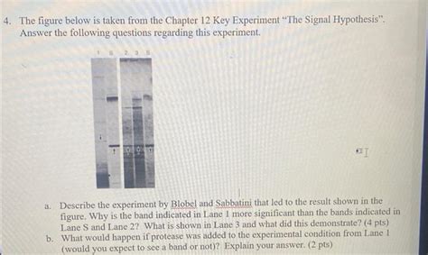 The Figure Below Is Taken From The Chapter 12 Key