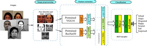 Framework Diagram Of The Proposed Fer Procedure Download Scientific Diagram