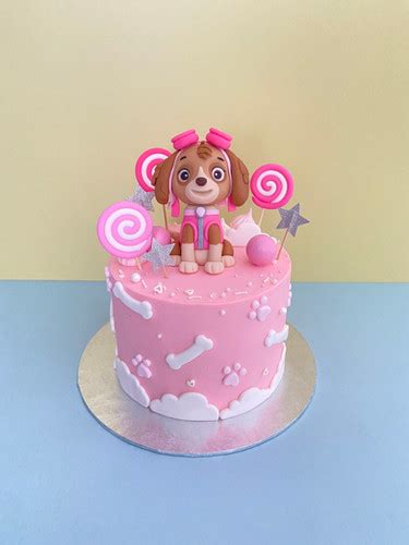 Paw Patrol Skye Cake Cake Genie Home