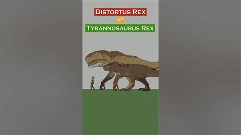 Distortus Rex Vs T Rex Size Comparison Jurassic World Rebirth