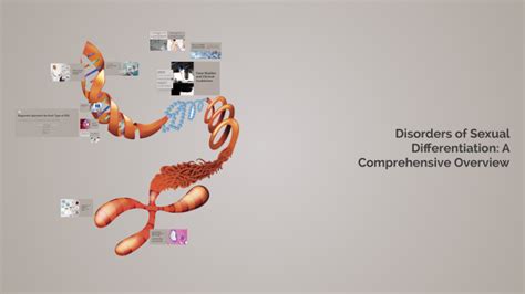 Disorders Of Sexual Differentiation A Comprehensive Overview By Zainab