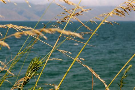 Sevan Սևան Lake Sevan Armenian Սևանա լիճ Sevana Lich Flickr