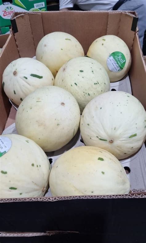 Dino Melon Food And Drinks Fresh Produce On Carousell
