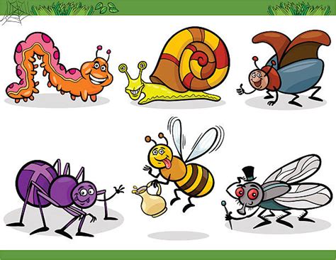 June Bug Cartoons Illustrations Royalty Free Vector Graphics And Clip