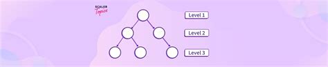 Top View Of Binary Tree Scaler Topics Top View Of Binary Tree Scaler Topics