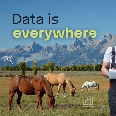 Dataframe Nsulting • Instagram Photos And Videos