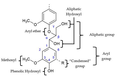 Main Functional Groups In Lignins Structure Adapted From 14