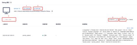 Debug 模式 ThinkingData