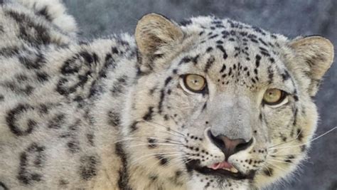 National Parks And Wildlife Sanctuaries Of Jammu And Kashmir