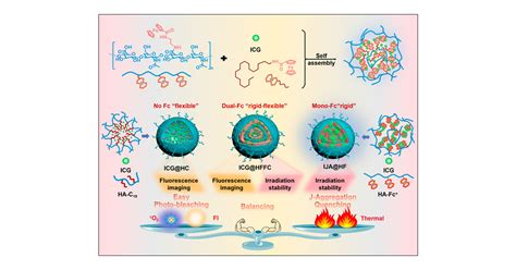 “rigid flexible” dual ferrocene chimeric nanonetwork for simultaneous