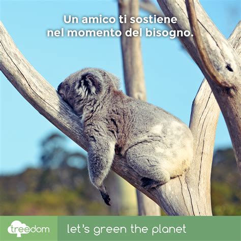 Treedom Treedom Twitter