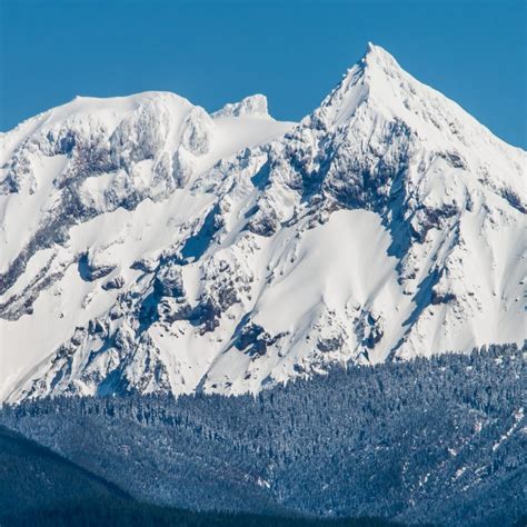 Climb Mount Garibaldi Blacksheep Adventure