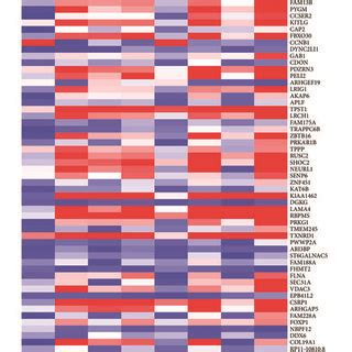 Heatmap Of Significant Differentially Expressed Transcripts Of