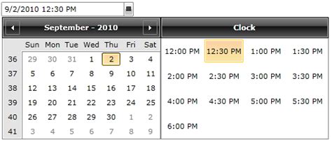 Wpf Datetimepicker Clock Items Telerik Ui For Wpf