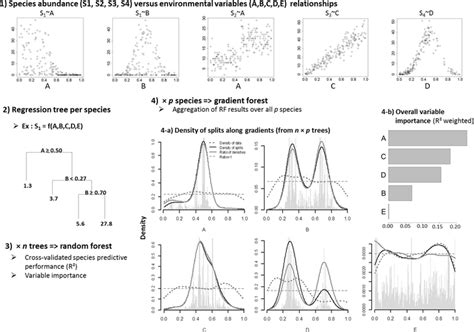 gradient forest analysis applied to a simulated data set of four download scientific diagram