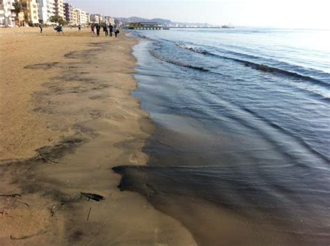 Ndotja Me Naftë E Detit Panariti Situata është E Rëndë Plan Masash