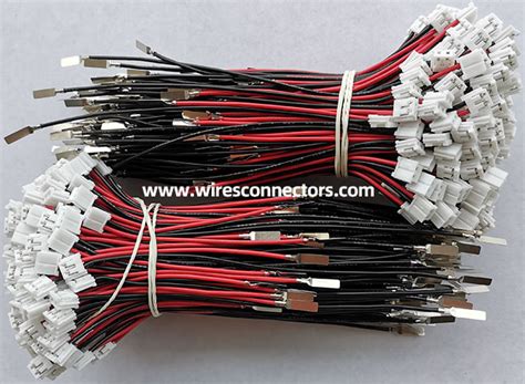 Jst Ehr 2p Connector 25mm Pitch Cable Assembly With Nickel Tabbest