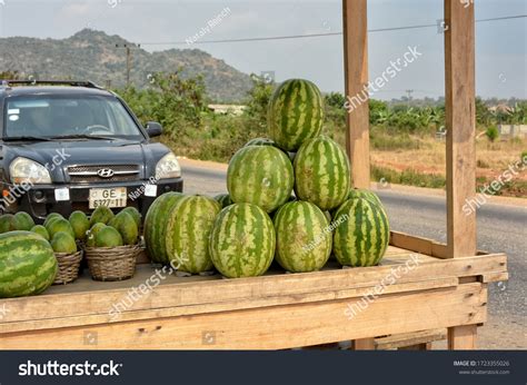 3 479 Imágenes De Watermelon Display Imágenes Fotos Y Vectores De Stock Shutterstock