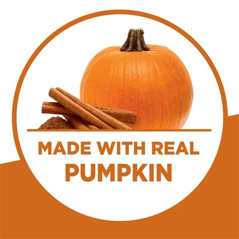 Pumpkin Spice Quick Bread Mix Krusteaz