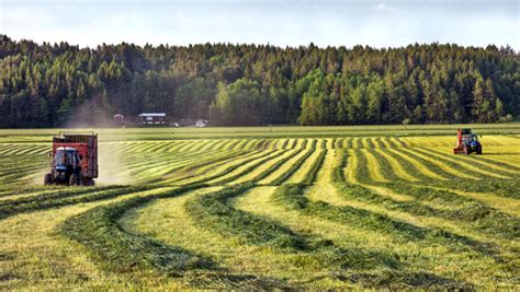 What Do Environmental Scientists Do Careerindia