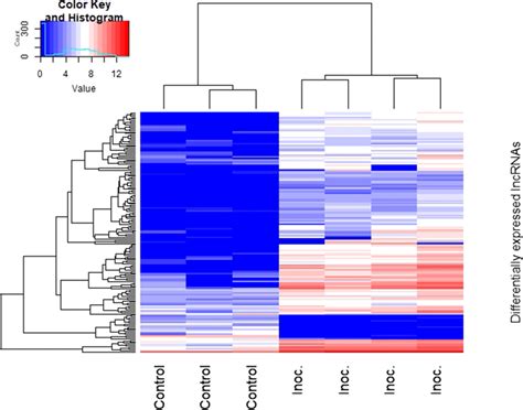 hierarchical clustering plot of the differentially expressed lncrnas of