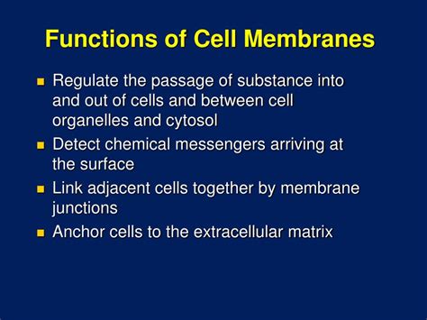 Ppt Cell Membrane Structure And Function Powerpoint Presentation Free Download Id436575