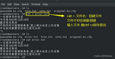 linux操作系统（重定向、find查找命令） linux find name csdn博客