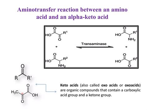 Amino Acid Synthesis Pptx