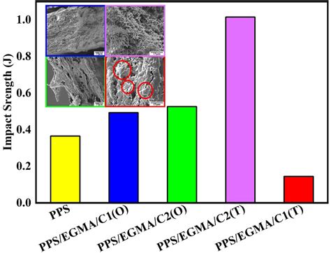 Polymer Engineering And Science Vol 65 No 6