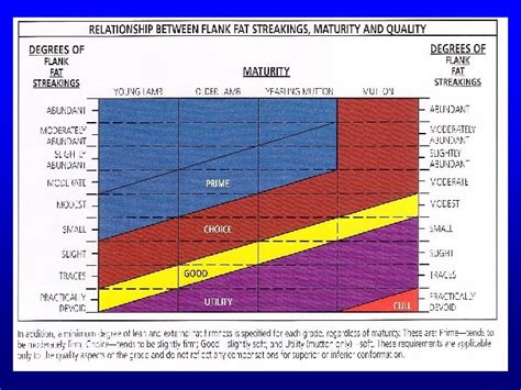 Lamb Grading Quality Grade Yield Grade Palatability Cutability