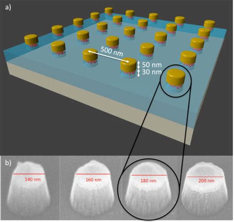 A Schematic Of The Sample B Sem Micrograph Showing Single Sio2 Download Scientific Diagram