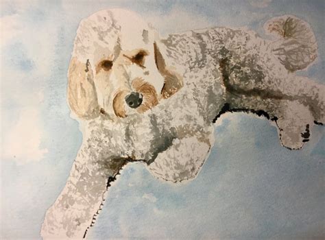Rosie A Cockapoo Watercolour Art Dog