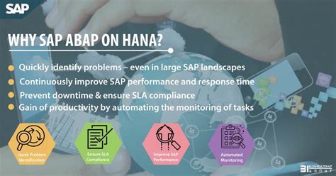 Bi Consultant Group On Linkedin Sap Sapabap Saphana Training Hana Abap Freedemo Bicg…