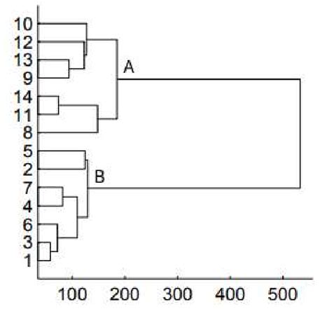 34 Hierarchical Tree Showing A Clear Two Cluster Structure Download