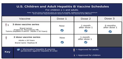 is hep b vaccine recommended for everyone
