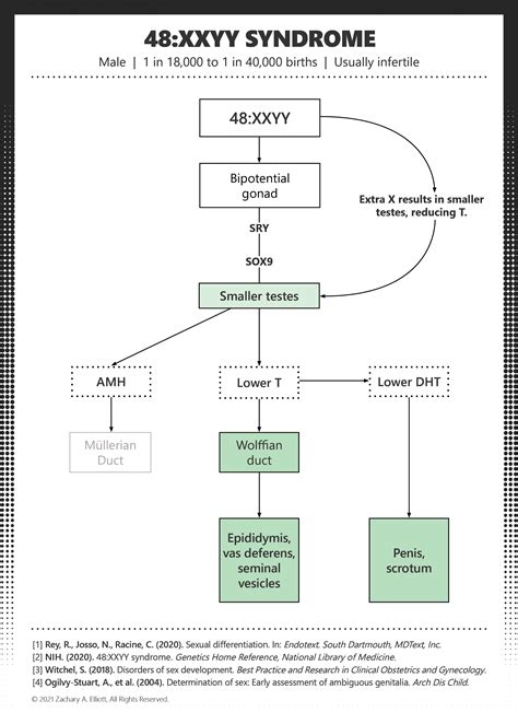 Sex Development Charts Paradox Institute
