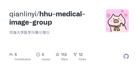 GitHub qianlinyi hhu medical image group 河海大学医学图像处理组