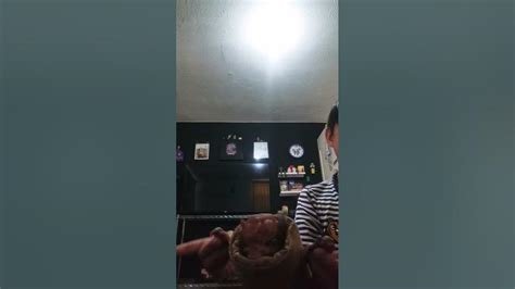 Oompa Loompa Music Song Youtube