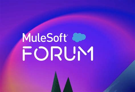 Apisero Inc On Linkedin Mulesoft Mumbai Forum