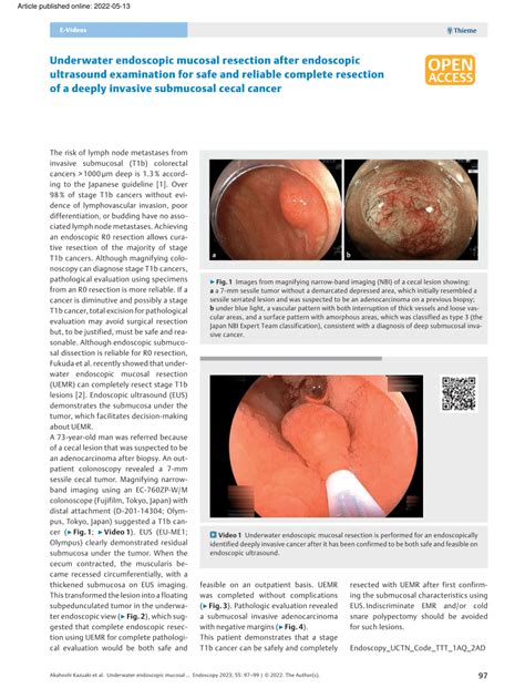 Pdf Underwater Endoscopic Mucosal Resection After Endoscopic
