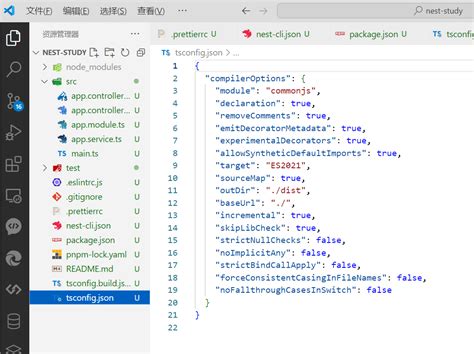Nestjs学习（一）nestjs下载教程 Csdn博客