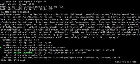 详解nginx：高性能web服务器与部署策略 csdn博客
