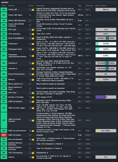 Omd Status Stopped Even Though Its Running Troubleshooting Checkmk Community
