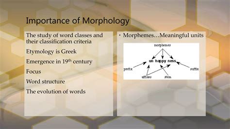 morphology subfield of linguistics pptx